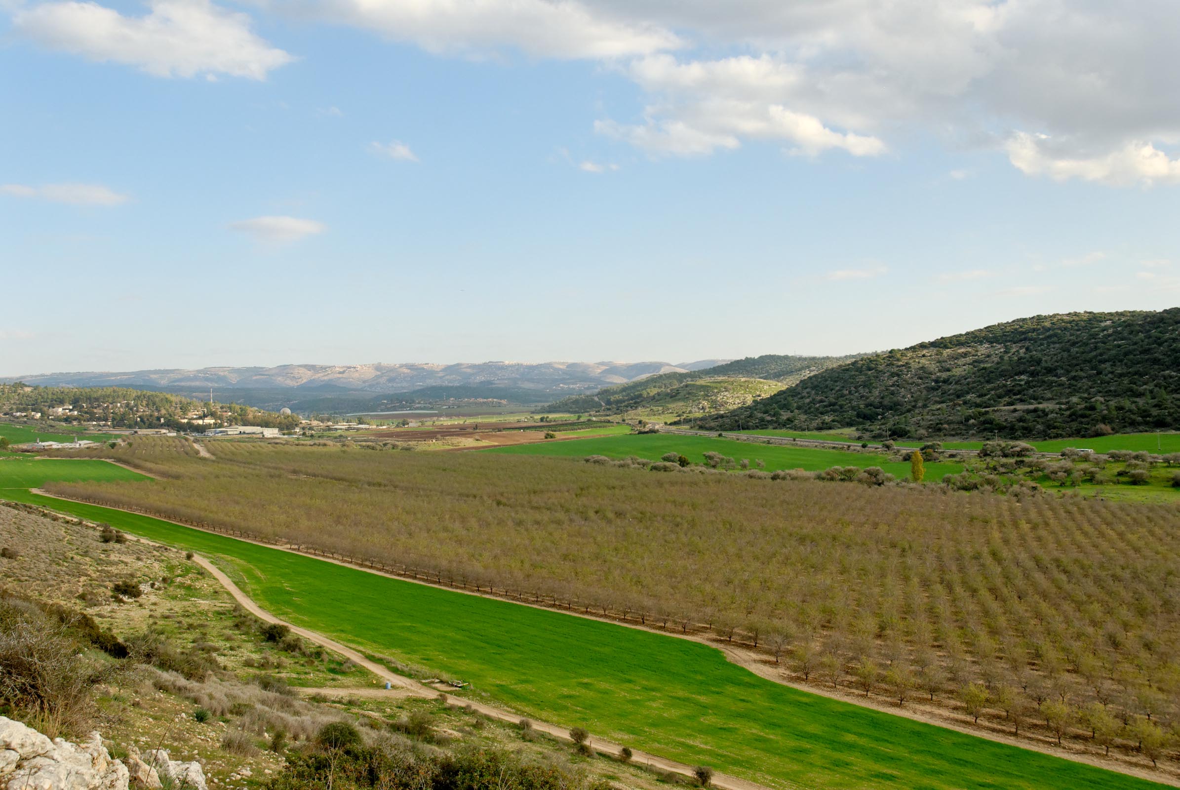 Elah Valley Pics — iDunning.com